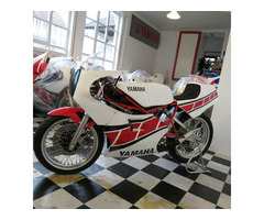 Yamaha TZ 250 N Heidelberg - www.classic-motorrad.de